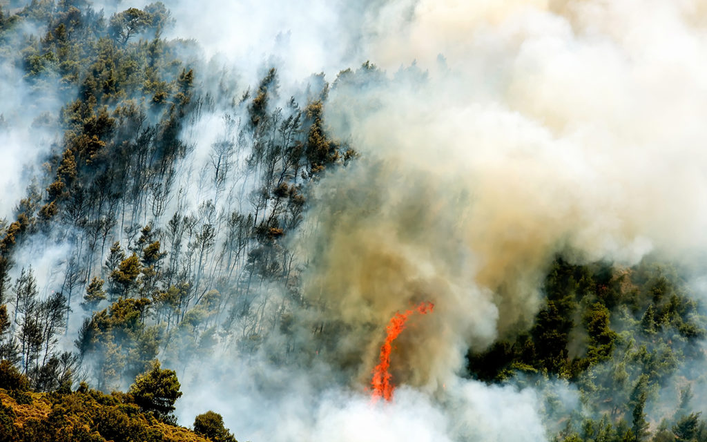 Harms from bushfire smoke: “yesterday was the time to talk about it ...