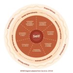 Impact of COVID-19 on suicide prevention in Aboriginal peoples | InSight+