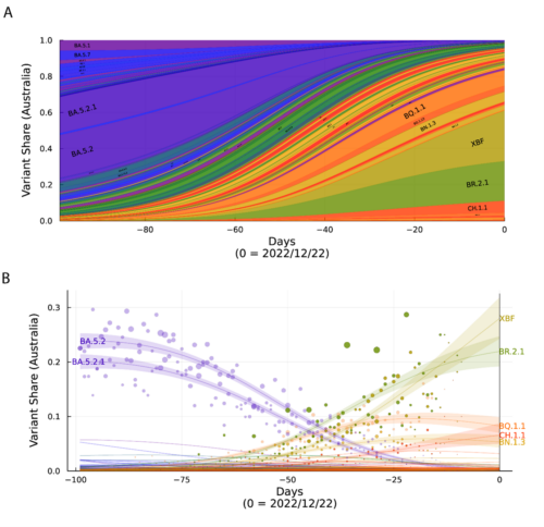 Omicron: the circulating subvariant facing new pressures | InSight+