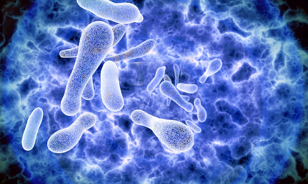 Legionella: whole-genome sequencing the way of the future | InSight+